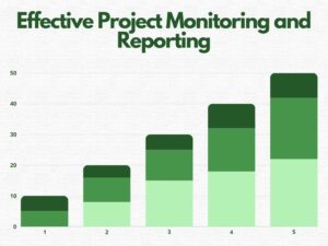 Effective Project Monitoring and Reporting: Best Practices for Project ...